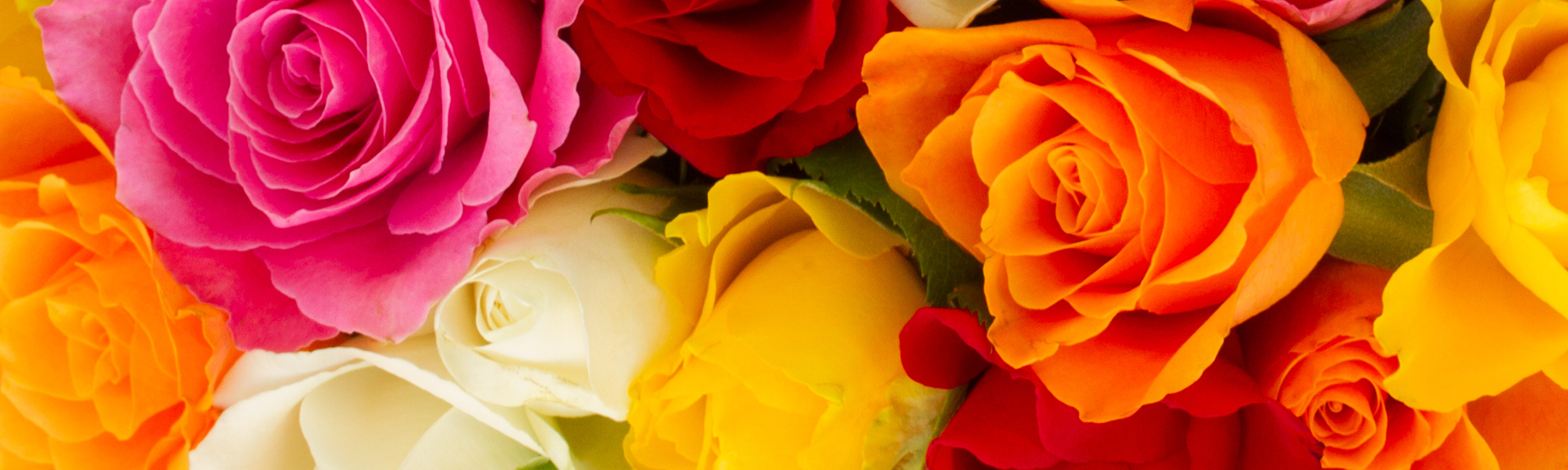 Best Cincinnati Florist - Adrian Durban Florist, Cincinnati OH Same Day ...