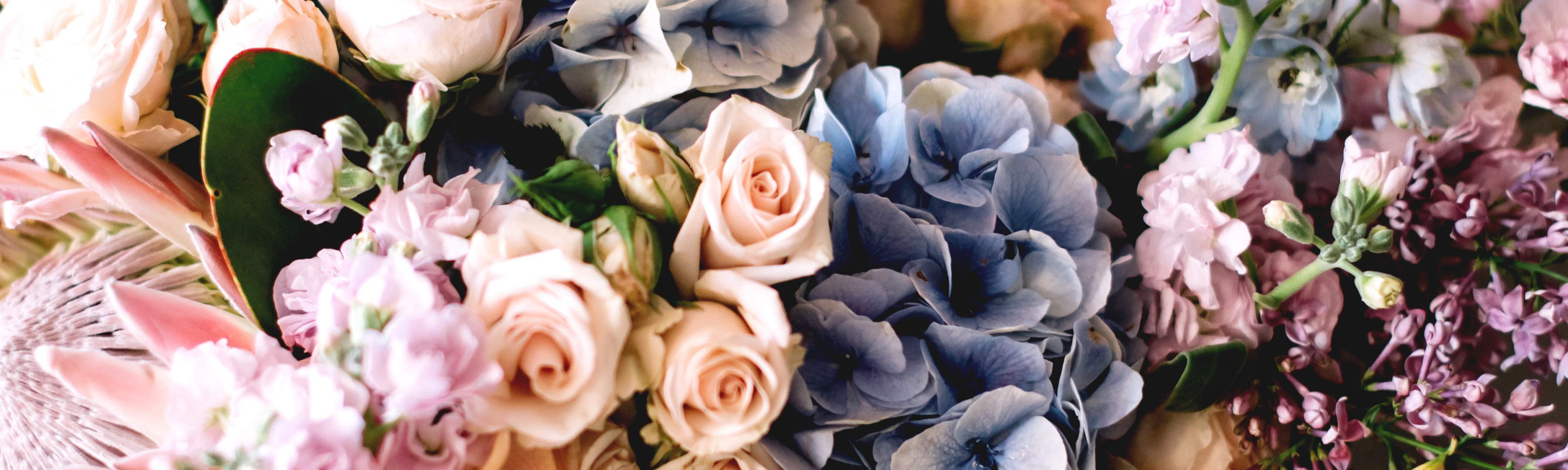 Best Cincinnati Florist - Adrian Durban Florist, Cincinnati OH Same Day ...